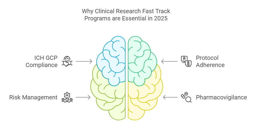 Clinical Research Fast Track Program | CCRPS