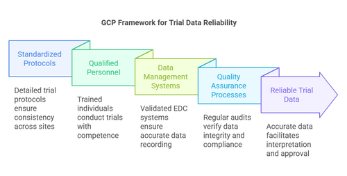 Role of GCP in Clinical Trial Integrity | CCRPS