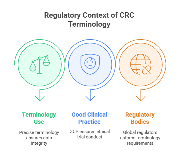 Top 20 Terms Every Clinical Research Coordinator CRC Must Understand ...