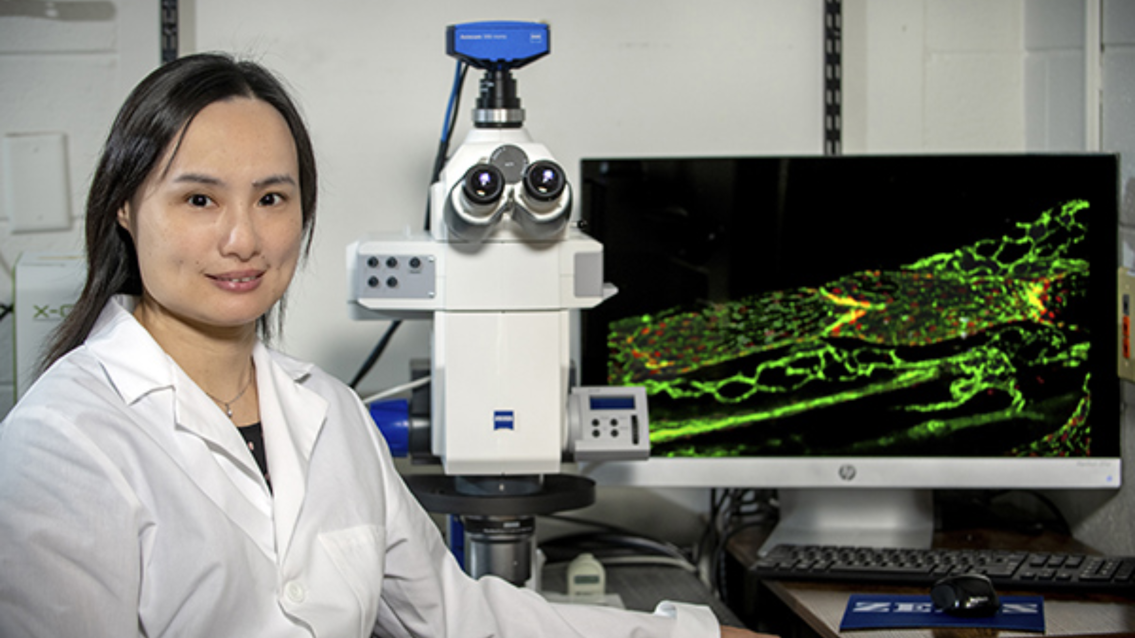 Role of Principal Investigator in Trials | CCRPS