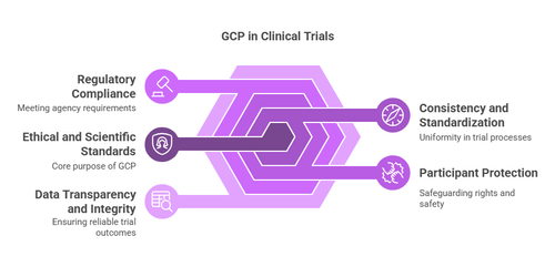 Role of GCP in Trial Monitoring & Auditing | CCRPS