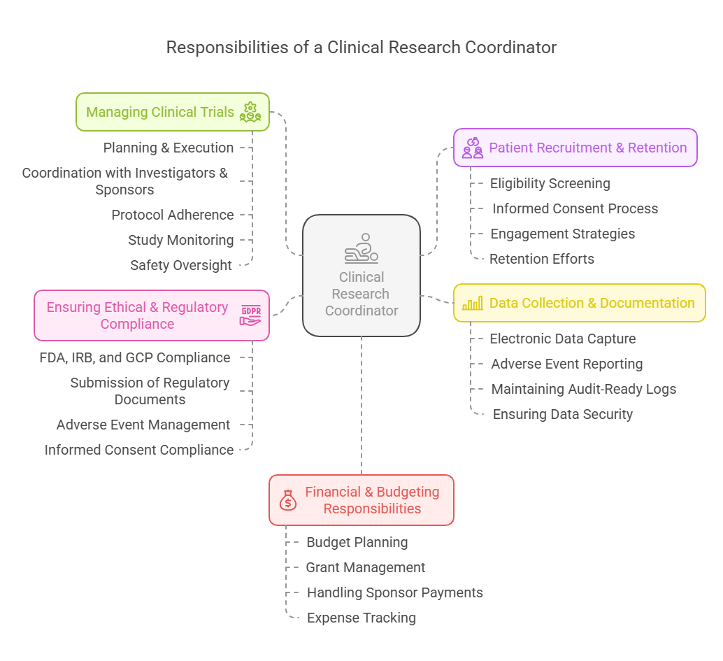Clinical Research Coordinator Key Responsibilities