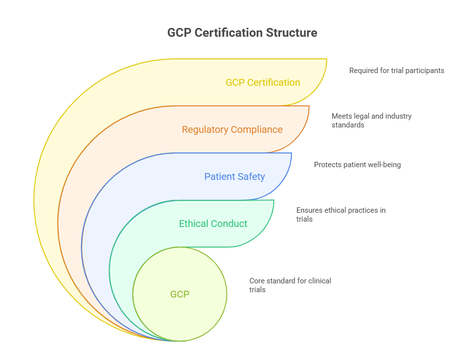 Top 50 GCP Certification Exam Questions and Complete Answers