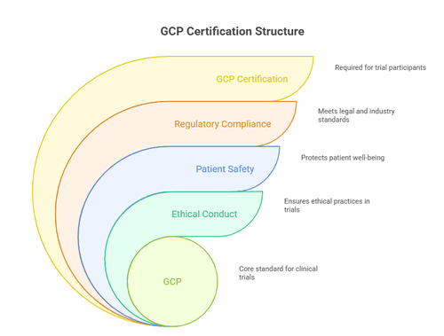 Top 50 GCP Certification Exam Questions and Complete Answers