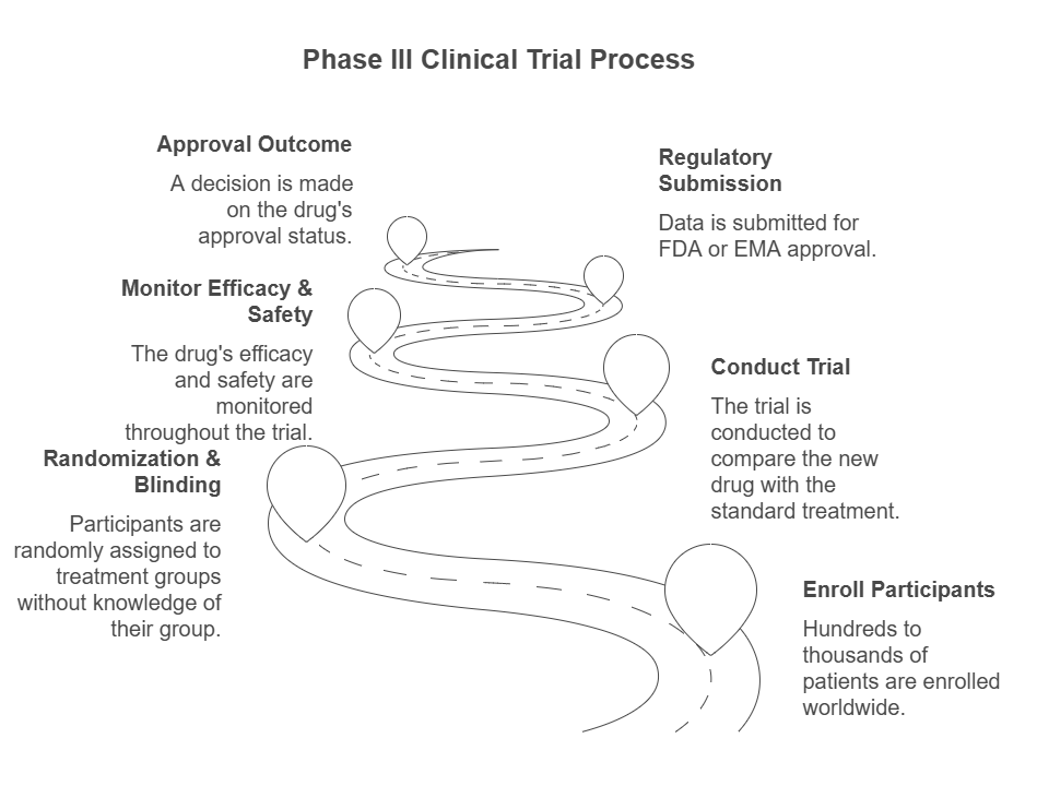 Clinical Trial Phases Explained | CCRPS