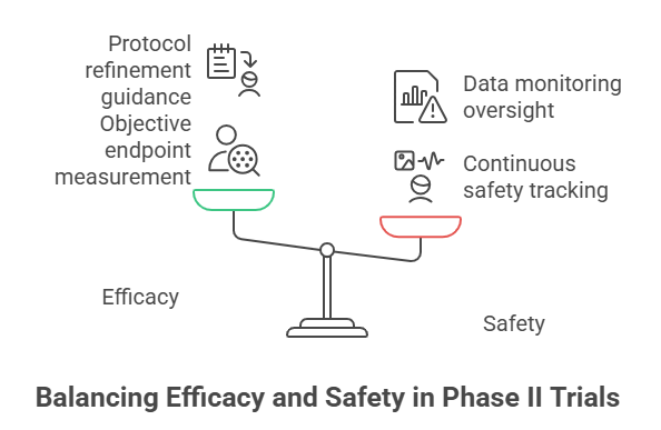Phase II Clinical Trials: Goals, Examples, and Real-Life Insights