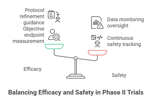 Phase II Clinical Trials: Goals, Examples, and Real-Life Insights