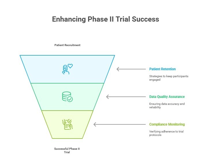 Phase II Clinical Trials: Goals, Examples, and Real-Life Insights