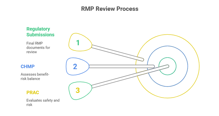 Risk Management Plans (RMPs): Comprehensive Pharmacovigilance Guide