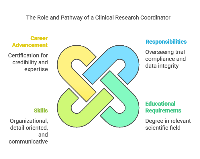 7 Steps to Become a Clinical Research Coordinator (CRC) - CCRPS ...
