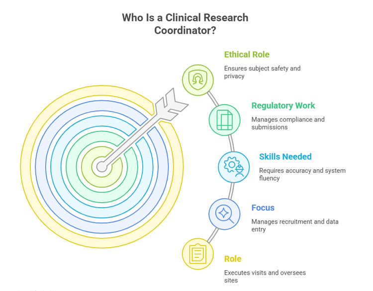 Clinical Research Coordinator (CRC) Role: Essential Skills ...