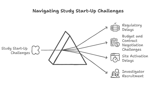 Clinical Research 101: How to Perfect Your Study Start-Up Process - CCRPS Clinical Research
