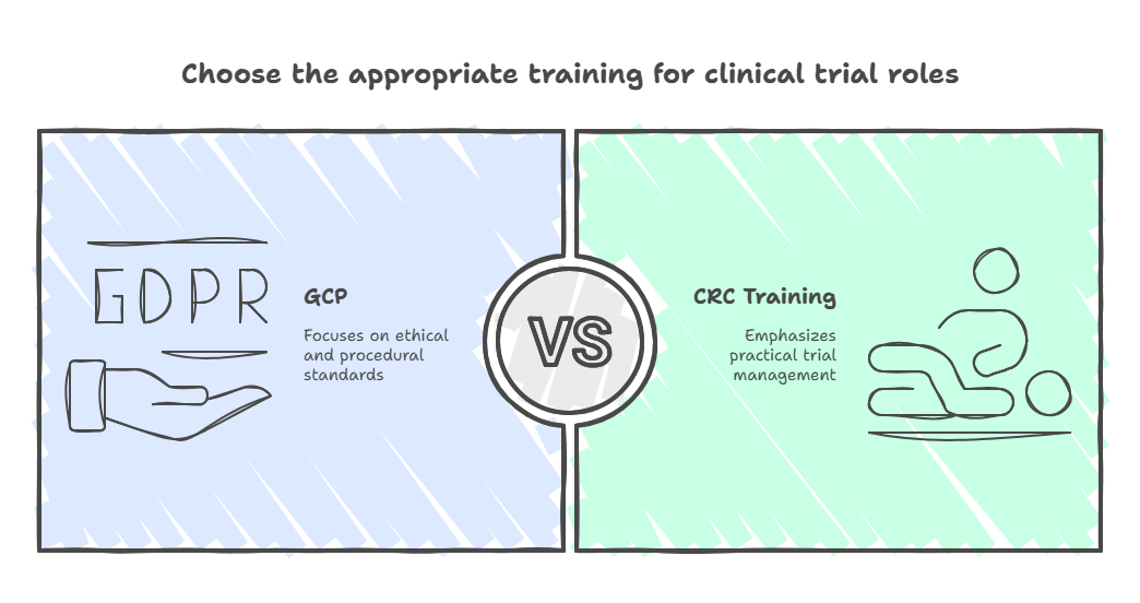 Key Differences Between GCP and Other Clinical Trainings