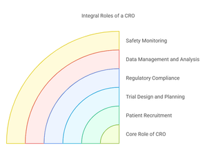 What is a CRO? Understanding Contract Research Organizations
