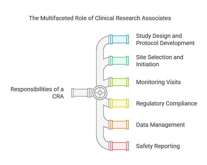 Becoming a Clinical Research Associate | Step-by-Step Guide - CCRPS ...