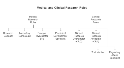 Clinical Research vs Medical Research Explained