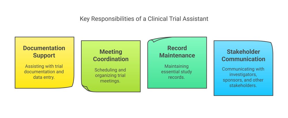 Clinical Trials Team Roles & Responsibilities | CCRPS