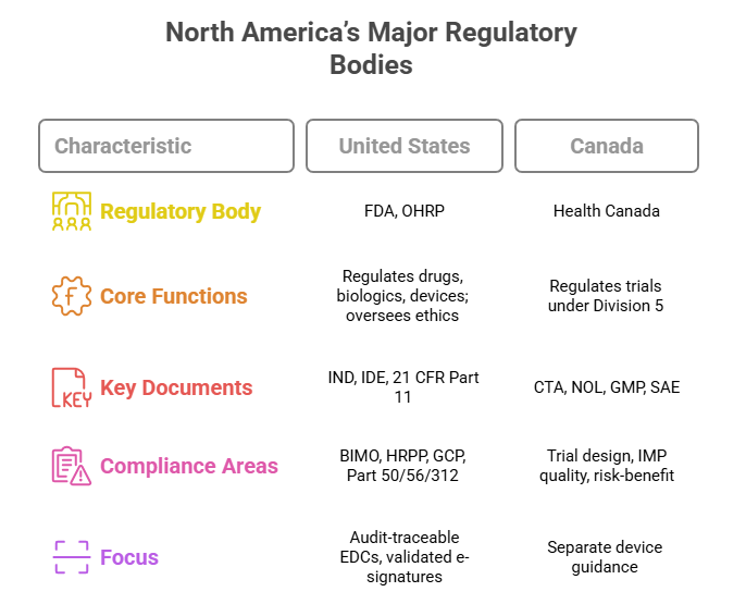 Clinical Research Regulatory Authorities Worldwide Comprehensive Directory