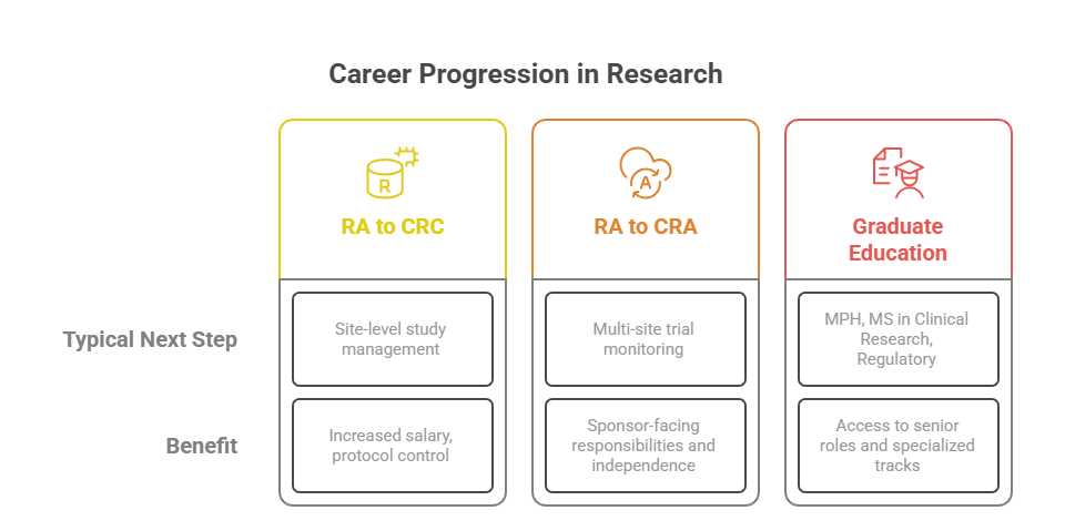 Research Assistant Role Essentials: Skills & Responsibilities