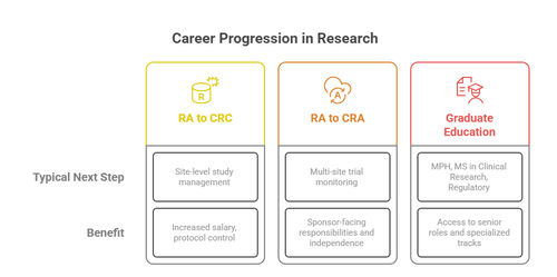 Research Assistant Role Essentials: Skills & Responsibilities