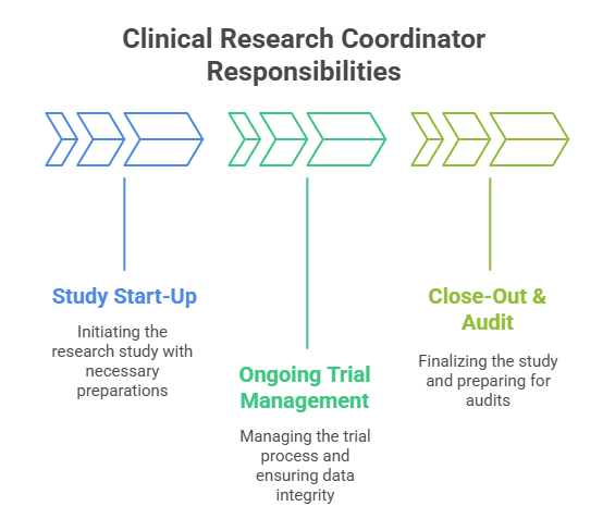 Clinical Research Coordinator (CRC) Role: Essential Skills & Responsibilities