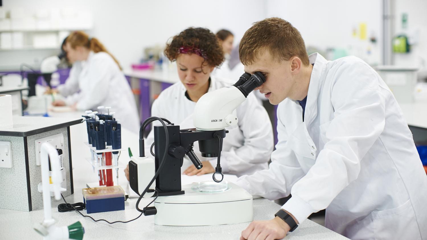 Common Clinical Research Positions | CCRPS