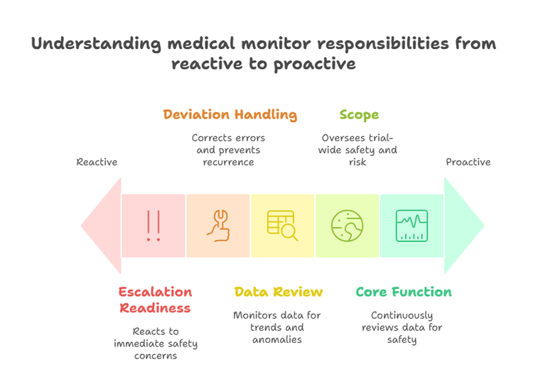 Clinical Trial Medical Oversight: Essential Guide for Medical Monitors