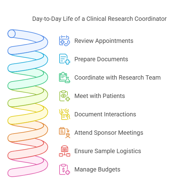 What Does a Clinical Research Coordinator Do?