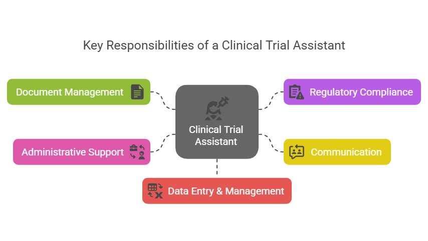 Clinical Trial Associate vs Clinical Research Associate: Key ...