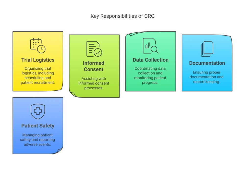 The Clinical Trials Team - Roles & Responsibilities - CCRPS - CCRPS ...