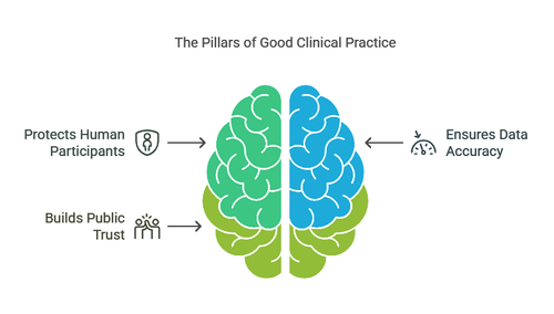What Is Good Clinical Practice? | CCRPS