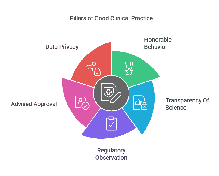 What Is Good Clinical Practice Gcp Key Principles And Guidelines