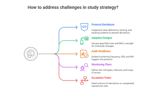 Clinical Trial Protocol Development: PI’s Comprehensive Guide