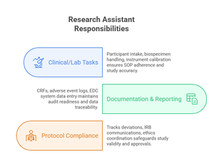 Research Assistant Role Essentials: Skills & Responsibilities