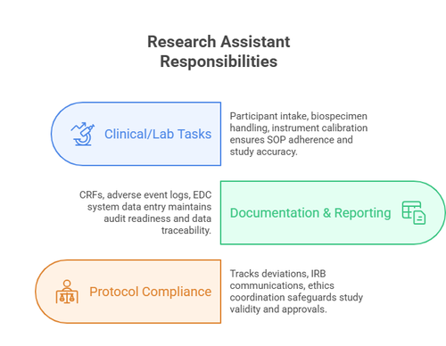 Research Assistant Role Essentials: Skills & Responsibilities