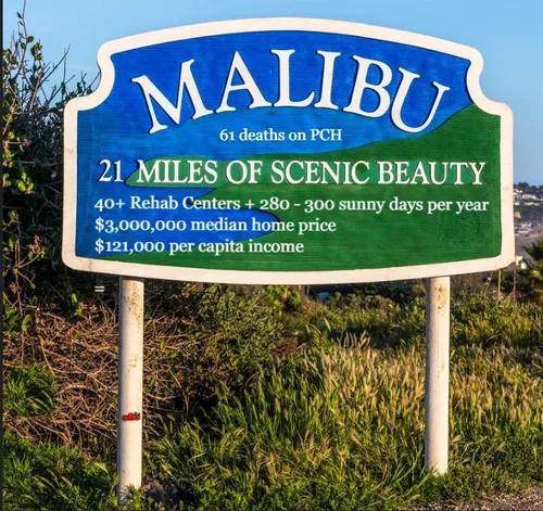 Malibu Fire: The Bible — Ben Marcus Rules