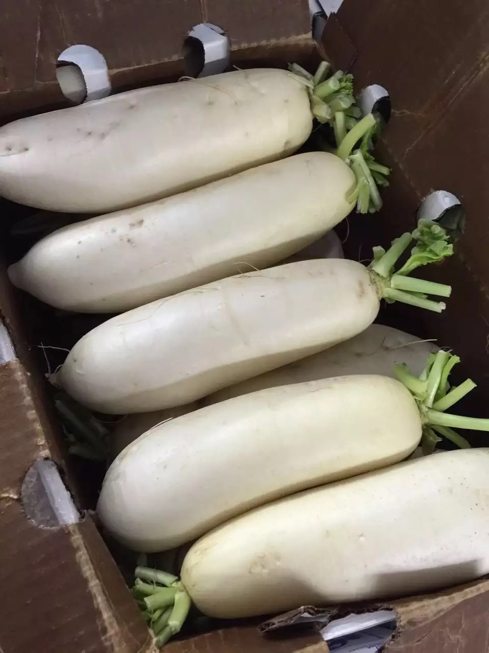 Chinese Lo Bok — Long Bean Farms