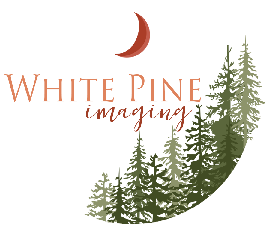 White Pine Imaging | Newmarket Wedding Photographer