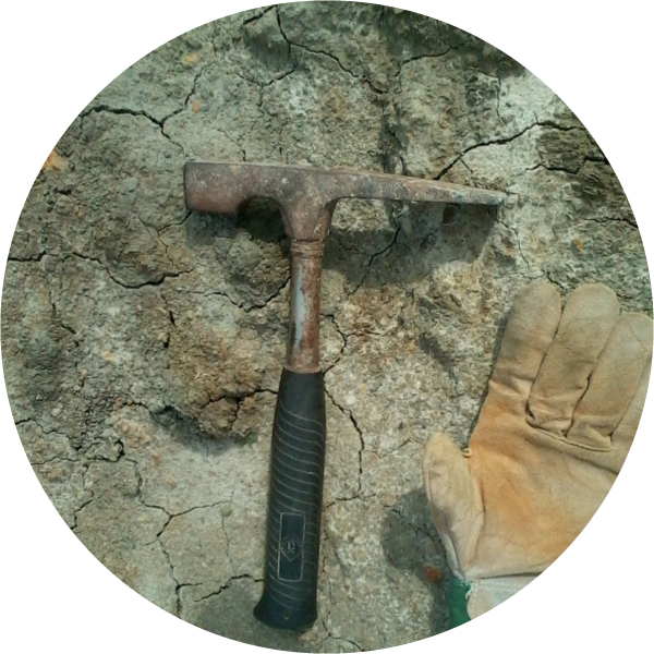 Fossil Trips — Dinosaur Expeditions