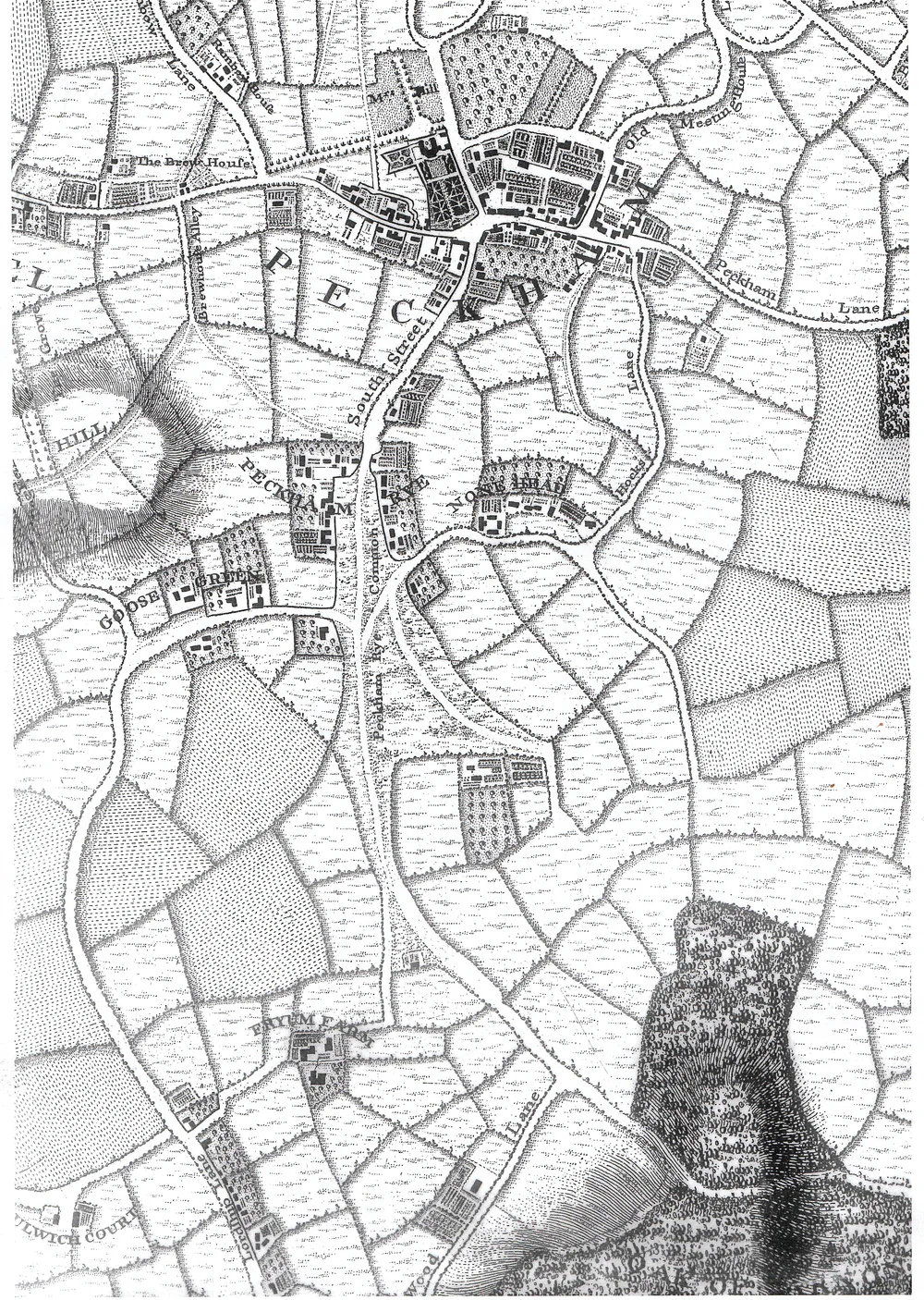 Early History — Peckham Rye Park