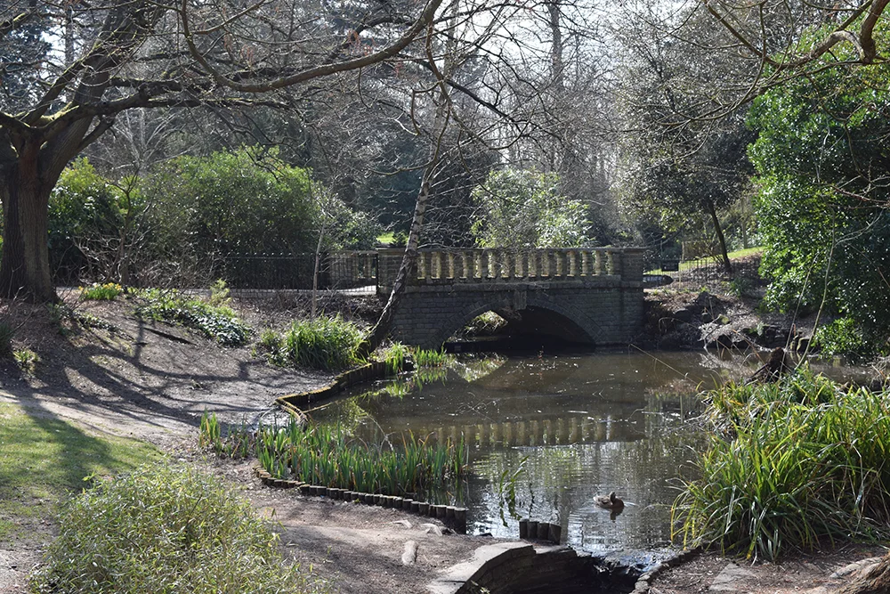 Nature — Peckham Rye Park