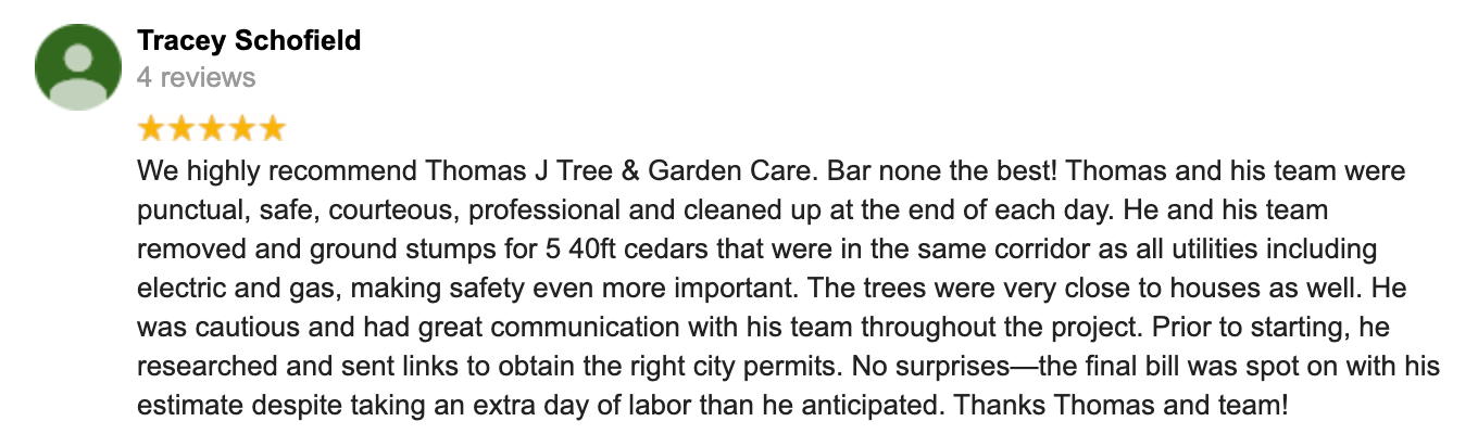 Arborist Services - Tree Pruning Services | Thomas J. Tree Care