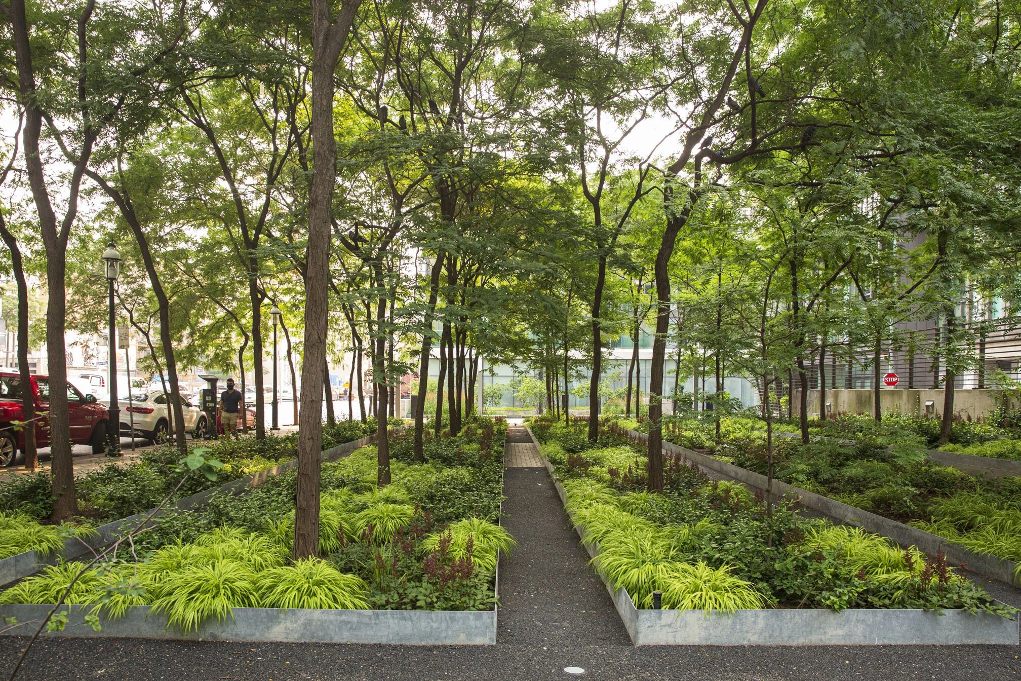 Forest and Field Landscape Architecture
