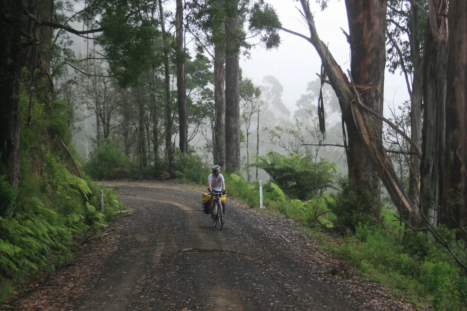 Resources — Adventure Cycling Victoria