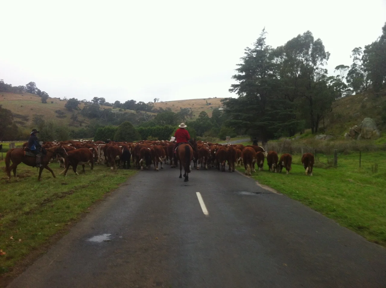 Best of Victoria in 1000km — Adventure Cycling Victoria