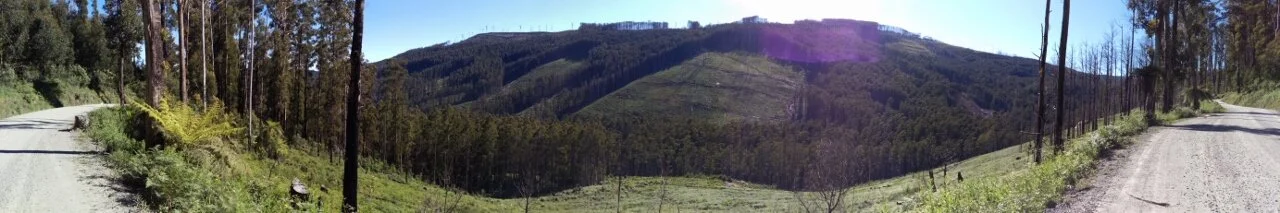 Mountain Ash and Hydro Power — Adventure Cycling Victoria