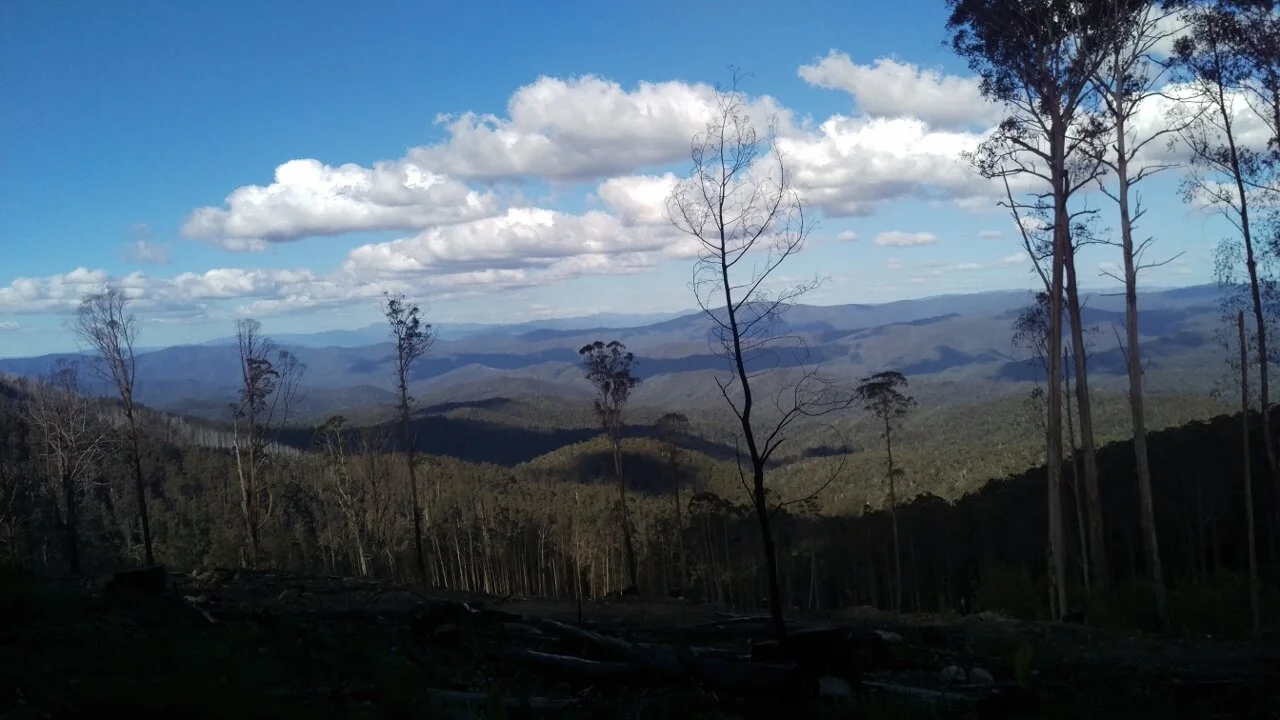 Mountain Ash and Hydro Power — Adventure Cycling Victoria