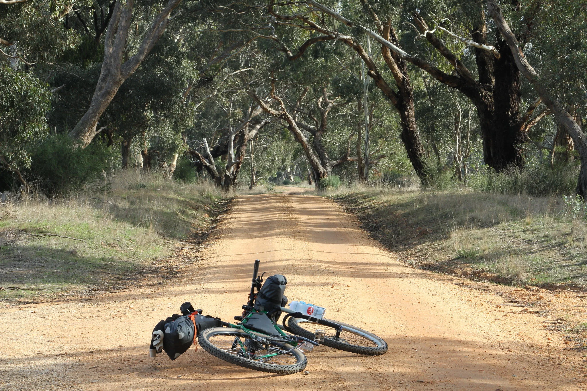 Courses — Adventure Cycling Victoria