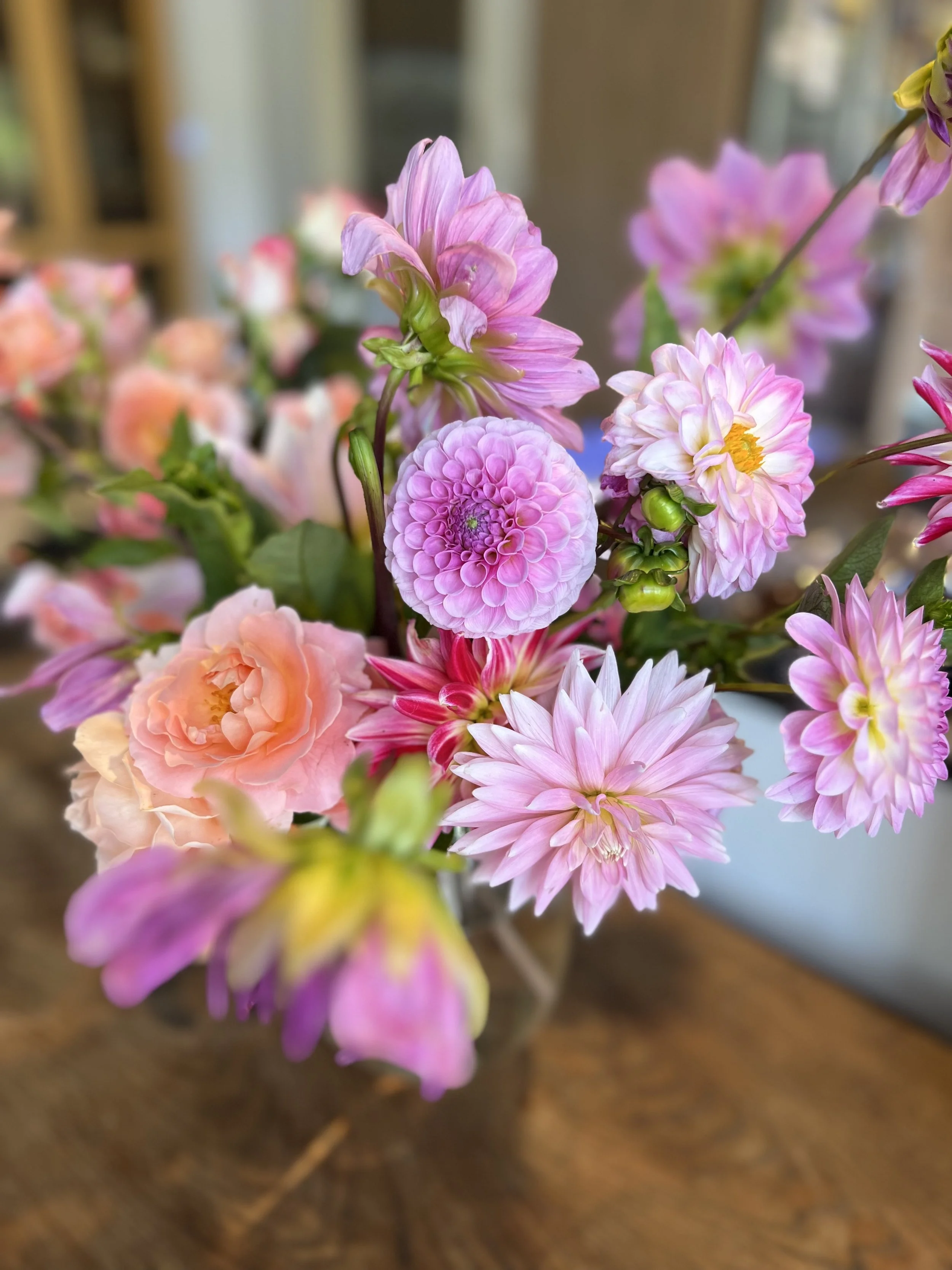 Blog — Ashia Ismail-Singer