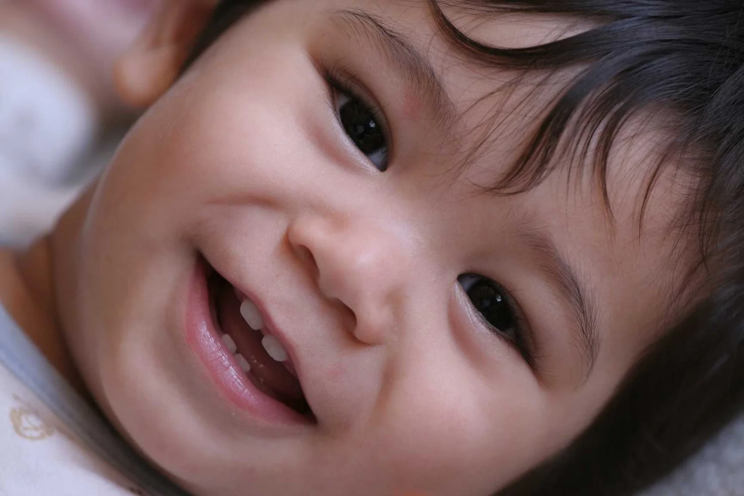 Find a Dentist by Zip Code — Minnesota Oral Health Directory